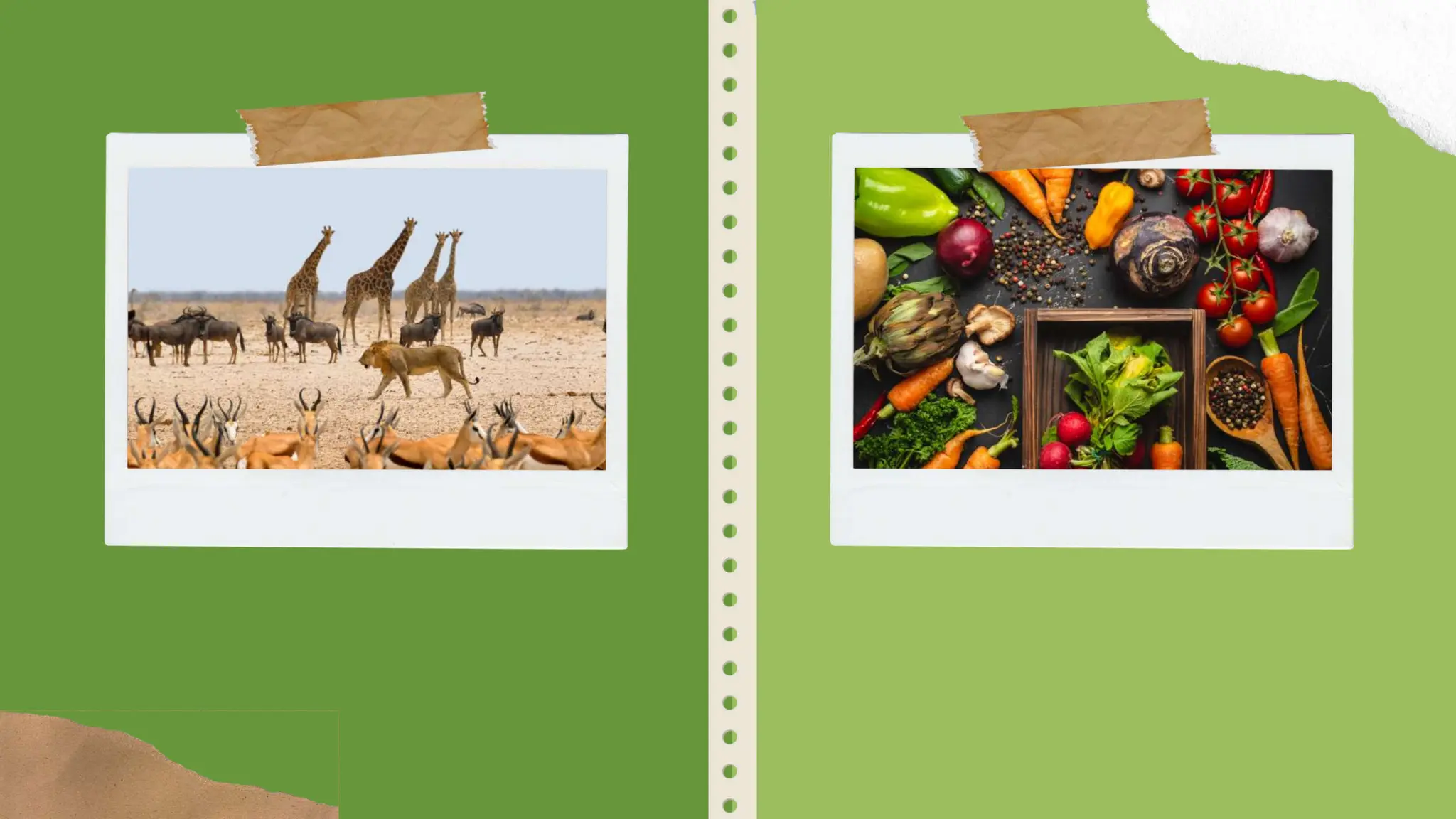 GRADE 8 BIODIVERSITY SCIENCE 8 COPY.pptx