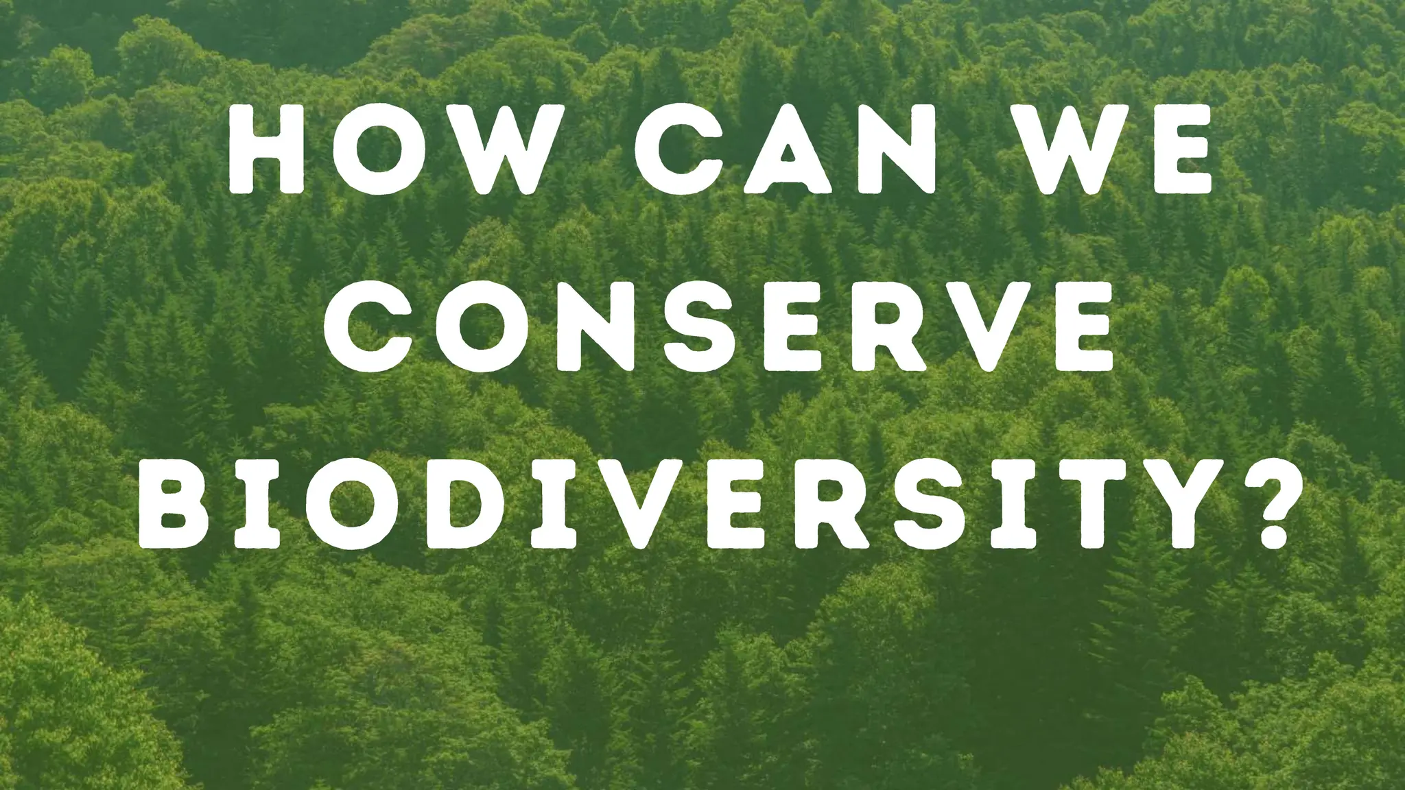 GRADE 8 BIODIVERSITY SCIENCE 8 COPY.pptx