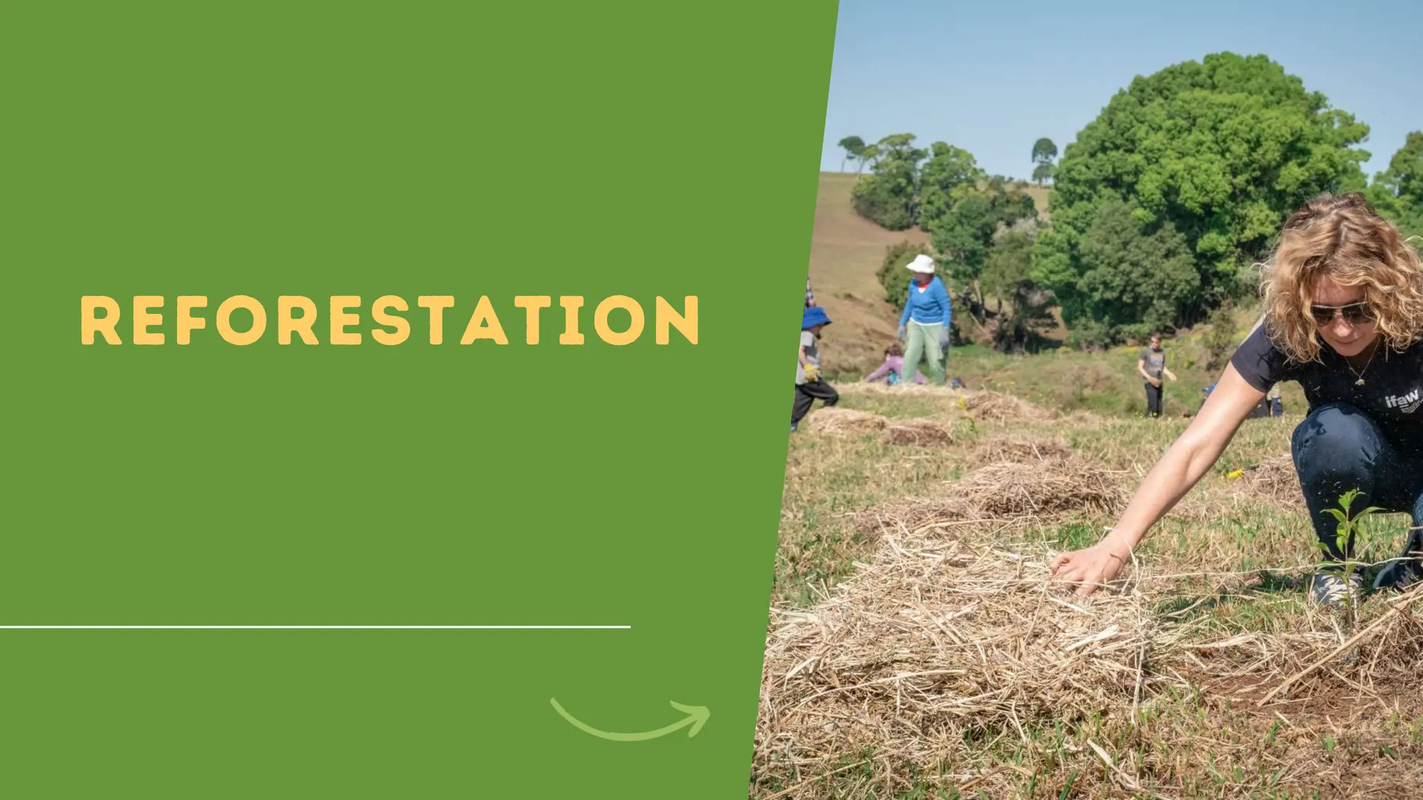 GRADE 8 BIODIVERSITY SCIENCE 8 COPY.pptx