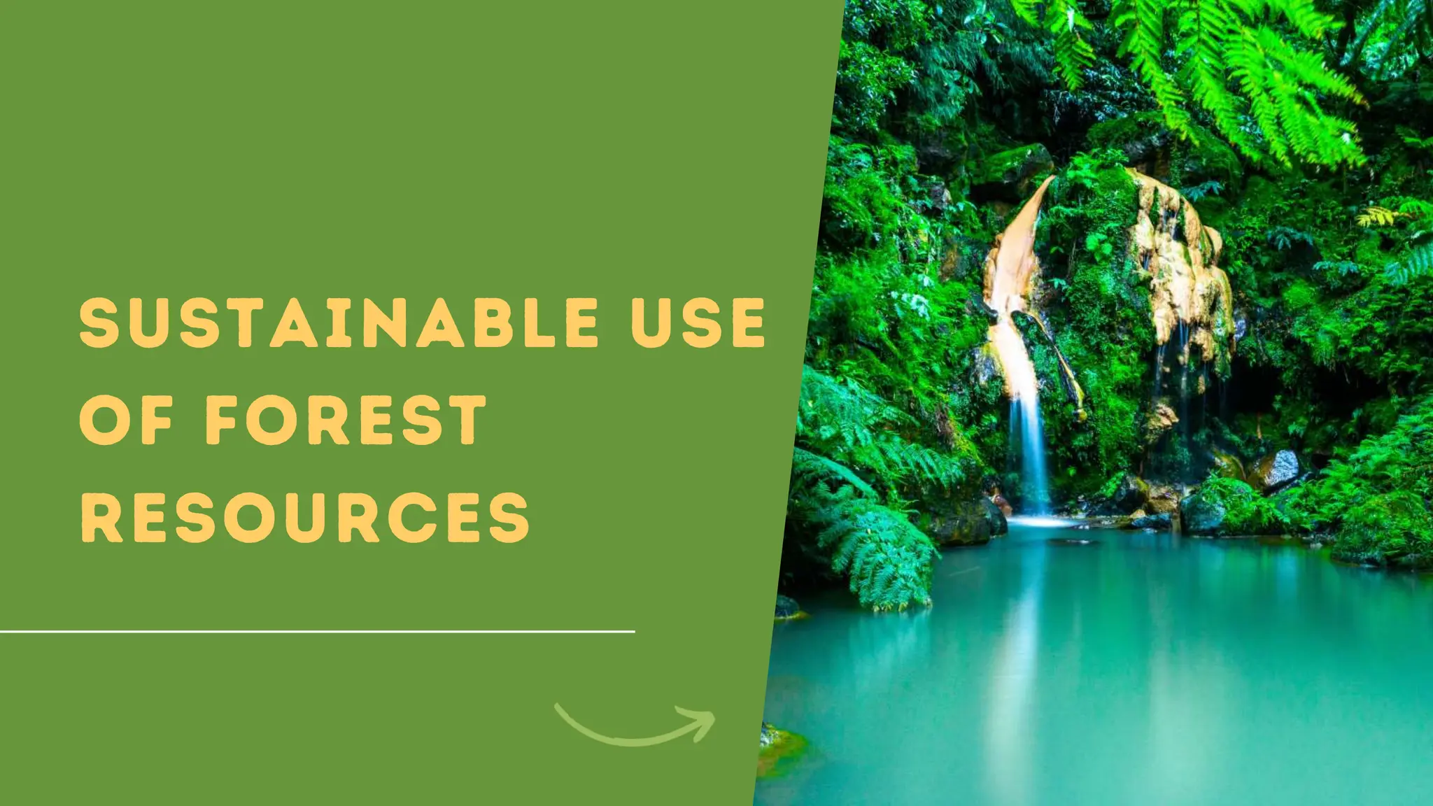 GRADE 8 BIODIVERSITY SCIENCE 8 COPY.pptx