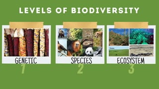 GRADE 8 BIODIVERSITY SCIENCE 8 COPY.pptx