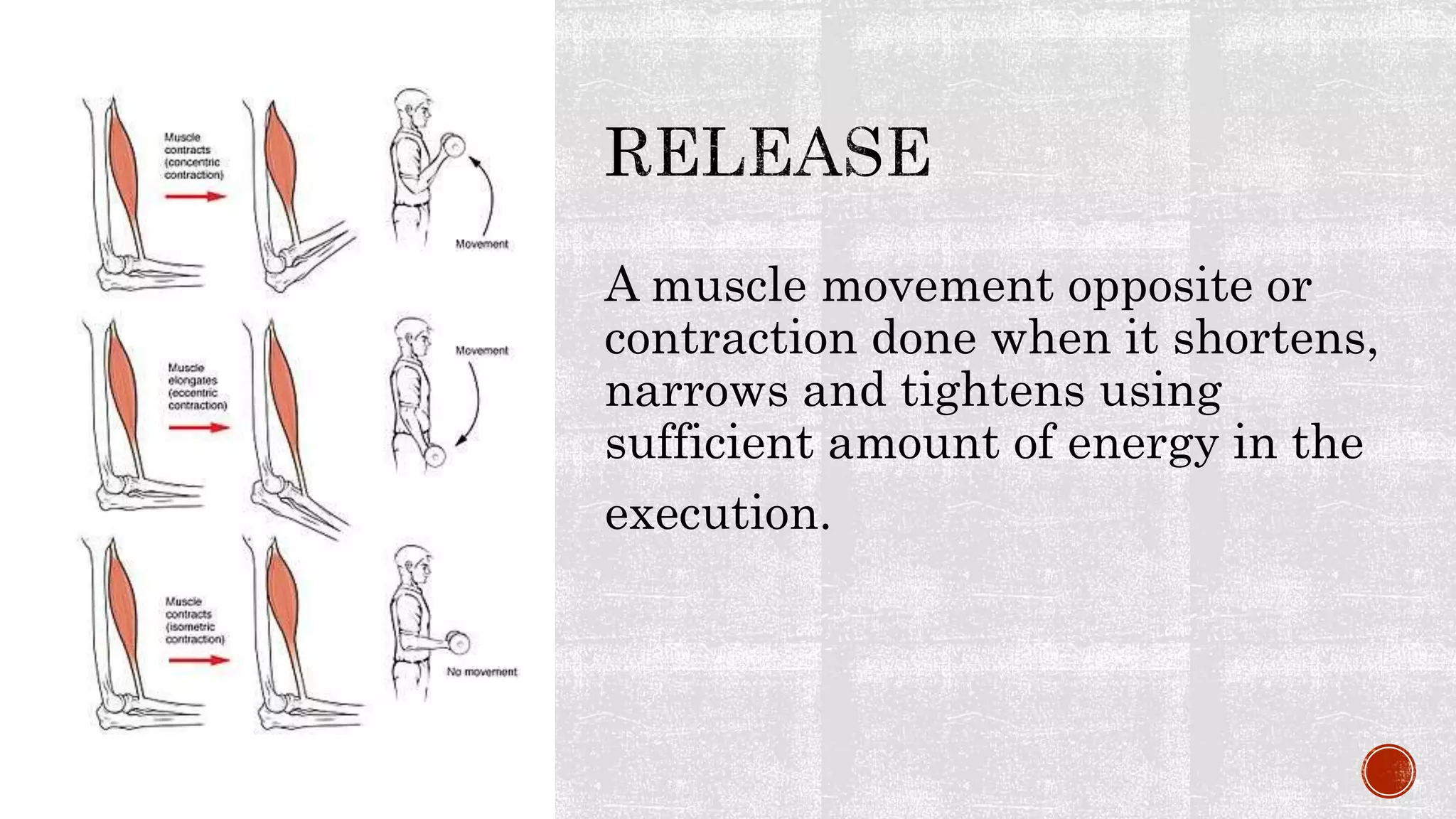 Q4 PPT-PE7-LOCOMOTOR NON LOCOMOTOR.pptx