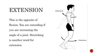 Q4 PPT-PE7-LOCOMOTOR NON LOCOMOTOR.pptx