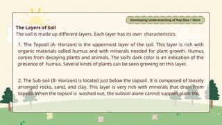 Q4_SCIENCE_PPT_WEEK 1 GRADE 4 MATATAG CURRICULUM 2024-2025 | PPTX