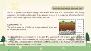 Q4_SCIENCE_PPT_WEEK 1 GRADE 4 MATATAG CURRICULUM 2024-2025 | PPTX