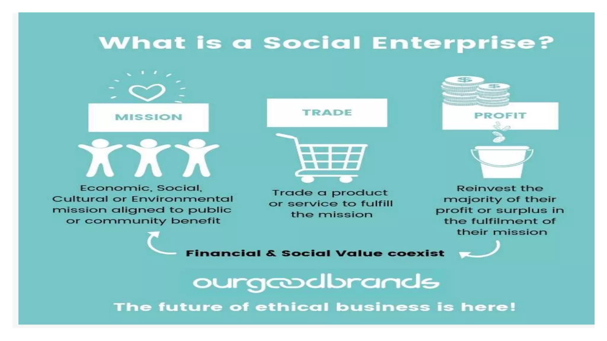 The Social Enterprise Model.pptx