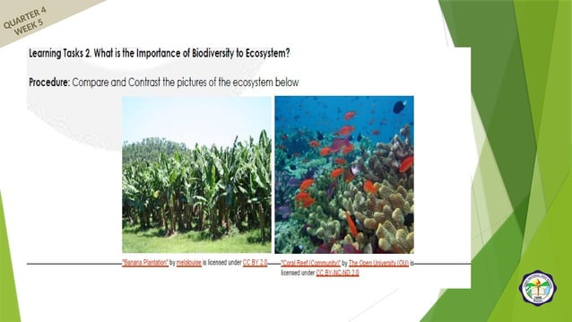 Unit 2 module 8, Science for Grade 8 about Biodiversity | PPT