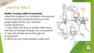 Grade 8 Cycling of Materials in the Ecosystem | PPTX