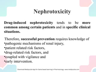 Renal-_Nephrotoxic_Drugs.pdf