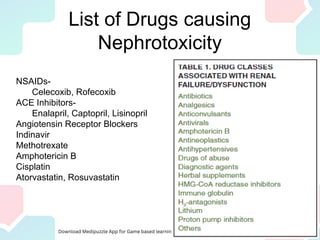 Renal-_Nephrotoxic_Drugs.pdf