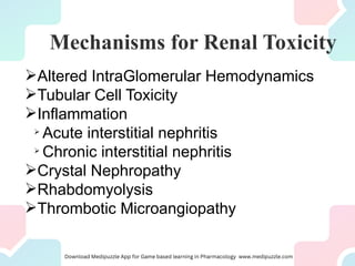 Renal-_Nephrotoxic_Drugs.pdf