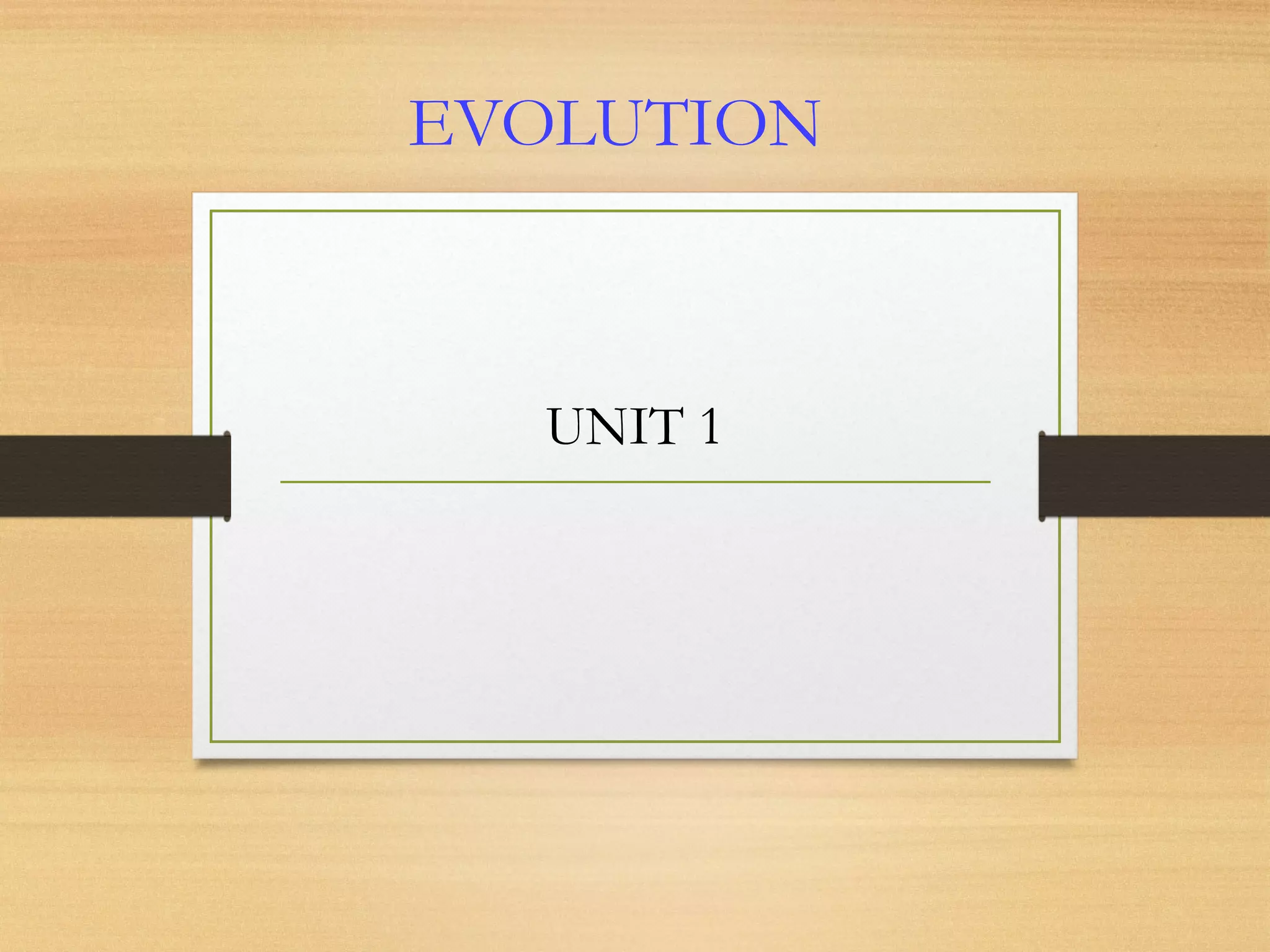 Human Evolution | PPT