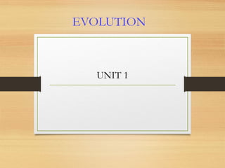 Human Evolution | PPT