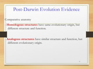 Human Evolution | PPT