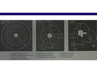 RADIAL CITY PLANNING | PPT