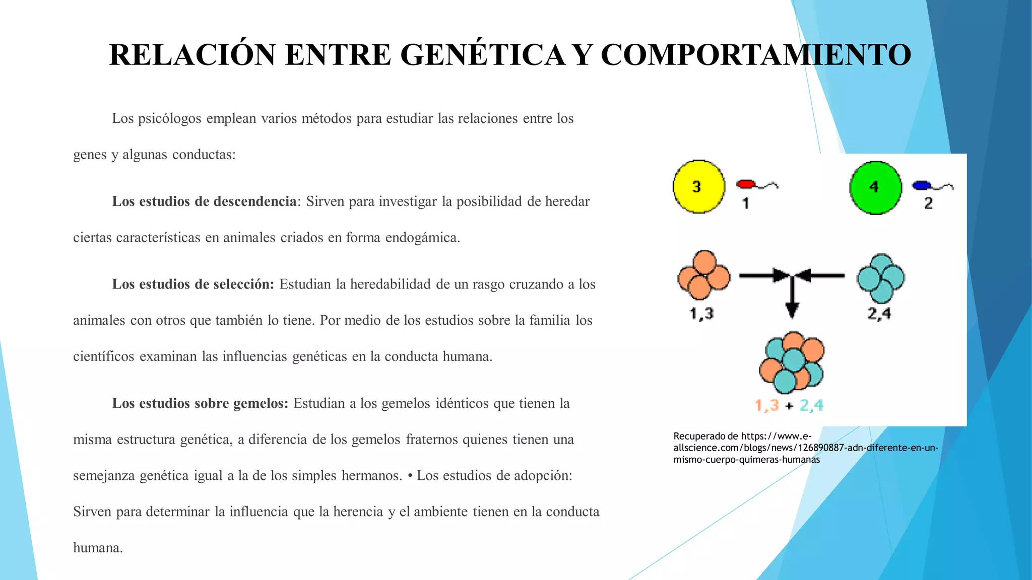 Actividad 7 -_presentacion_en_slideshare_que_aborde_la_relacion_entre ...