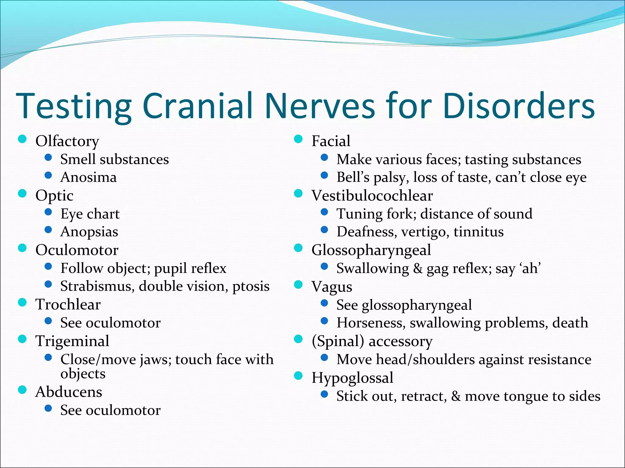 peripheral nervous system | PPT