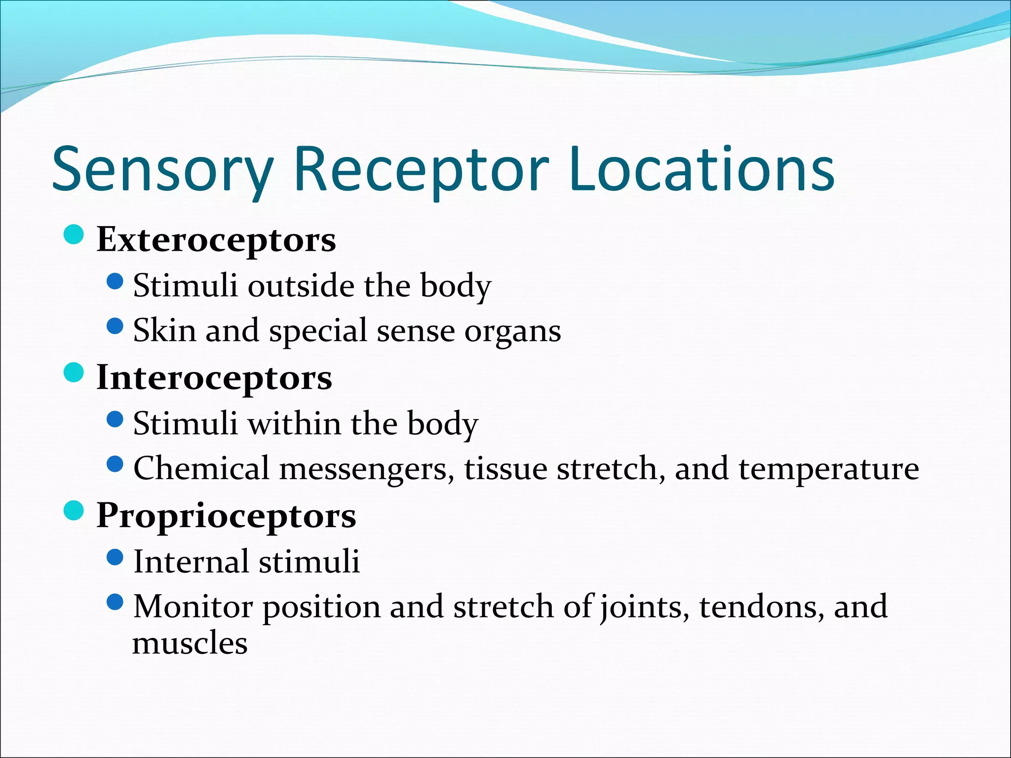 peripheral nervous system | PPT