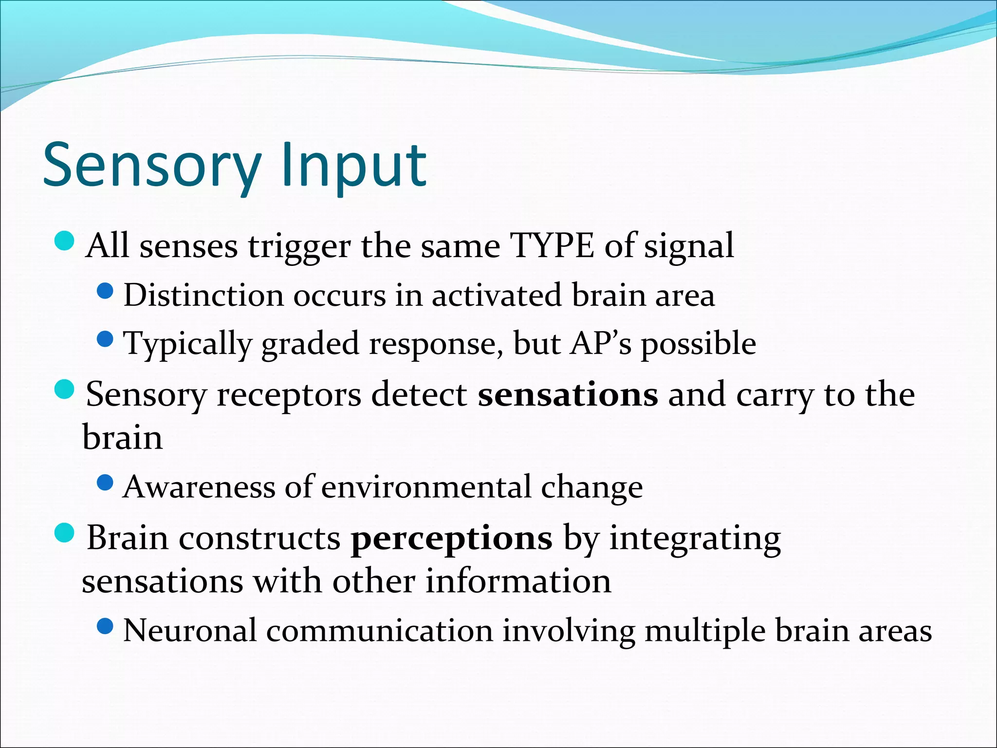peripheral nervous system | PPT