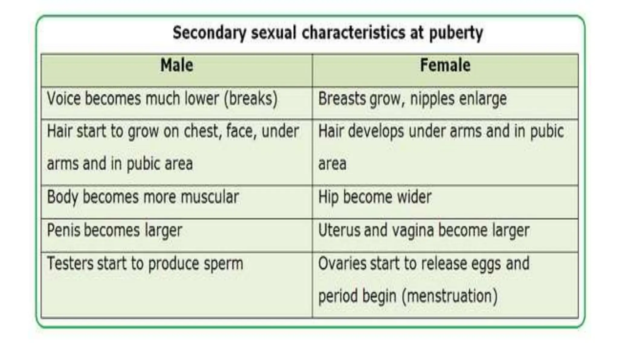 The-Physical-and-Sexual-Self.pptx