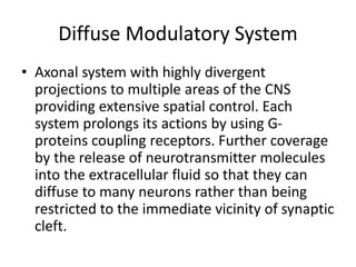 Cholinergic and Adnergic Neurons | PPTX