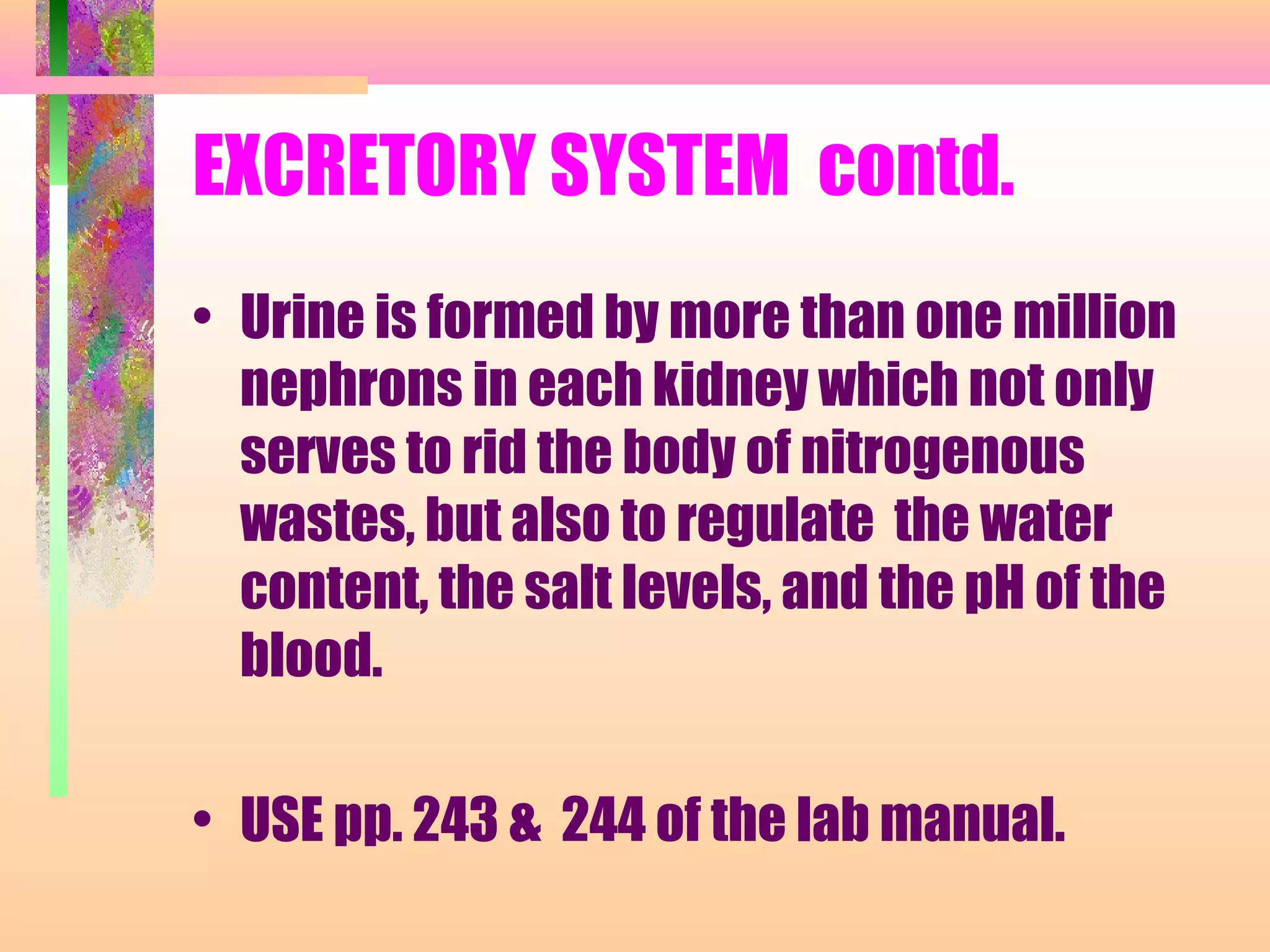 Excretory system | PPS | Chemistry | Science