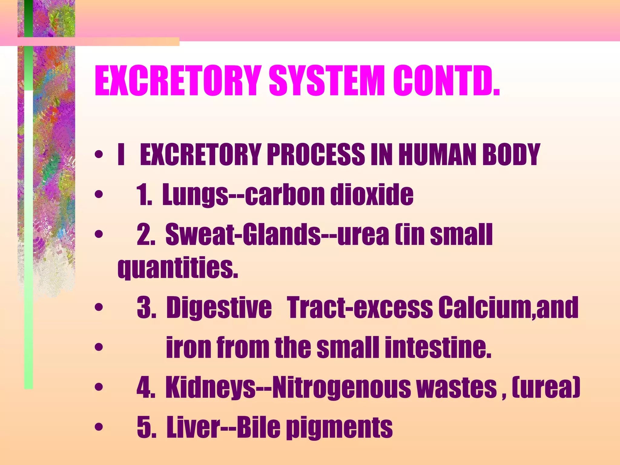 Excretory system | PPS | Chemistry | Science