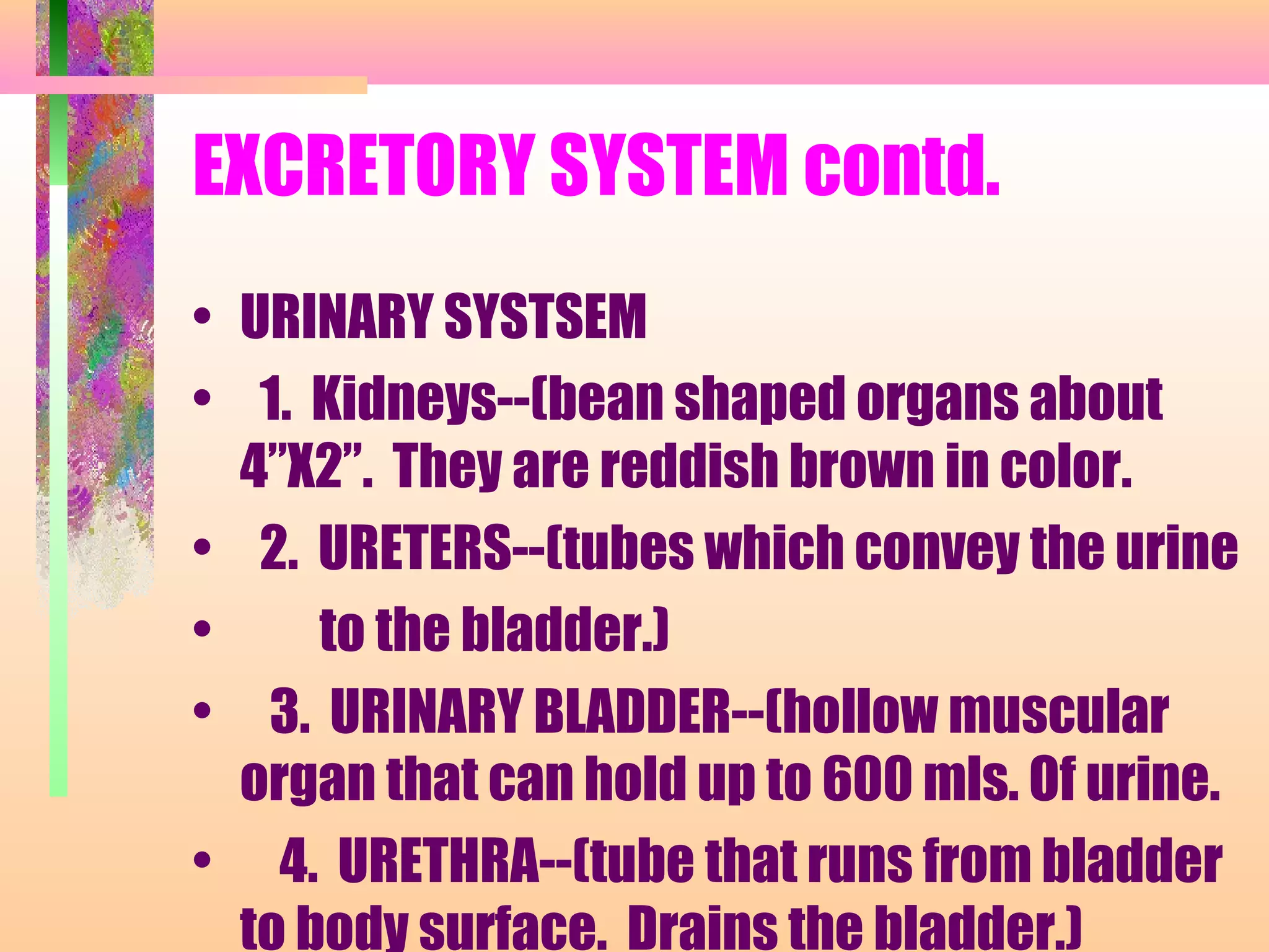 Excretory system | PPS | Chemistry | Science