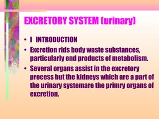 Excretory system | PPS | Chemistry | Science