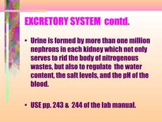 Excretory system | PPS | Chemistry | Science