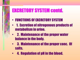 Excretory system | PPS | Chemistry | Science