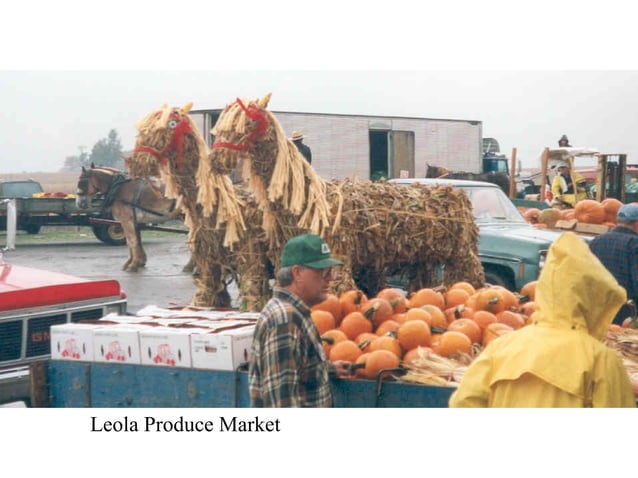 Vegetable marketing | PPT