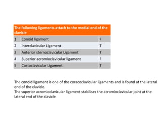 Exam Questions Clavicle | PPTX