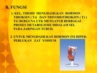 ENDOKRIN__HORMON_ANATOMI.ppt ppt kedokteran | PPT