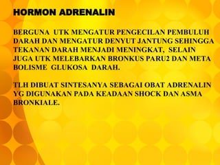 ENDOKRIN__HORMON_ANATOMI.ppt ppt kedokteran | PPT