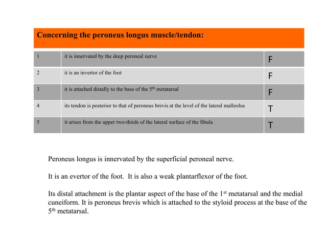 Questions; Lateral Leg | PPT