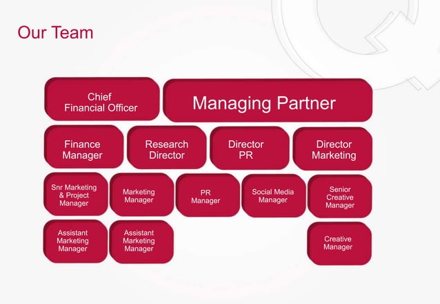 Qanect Credentials Presentation 2014 | PDF