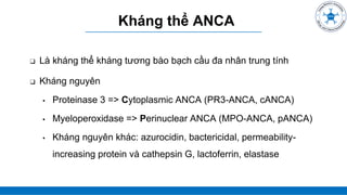 Viêm mạch ANCA | PDF