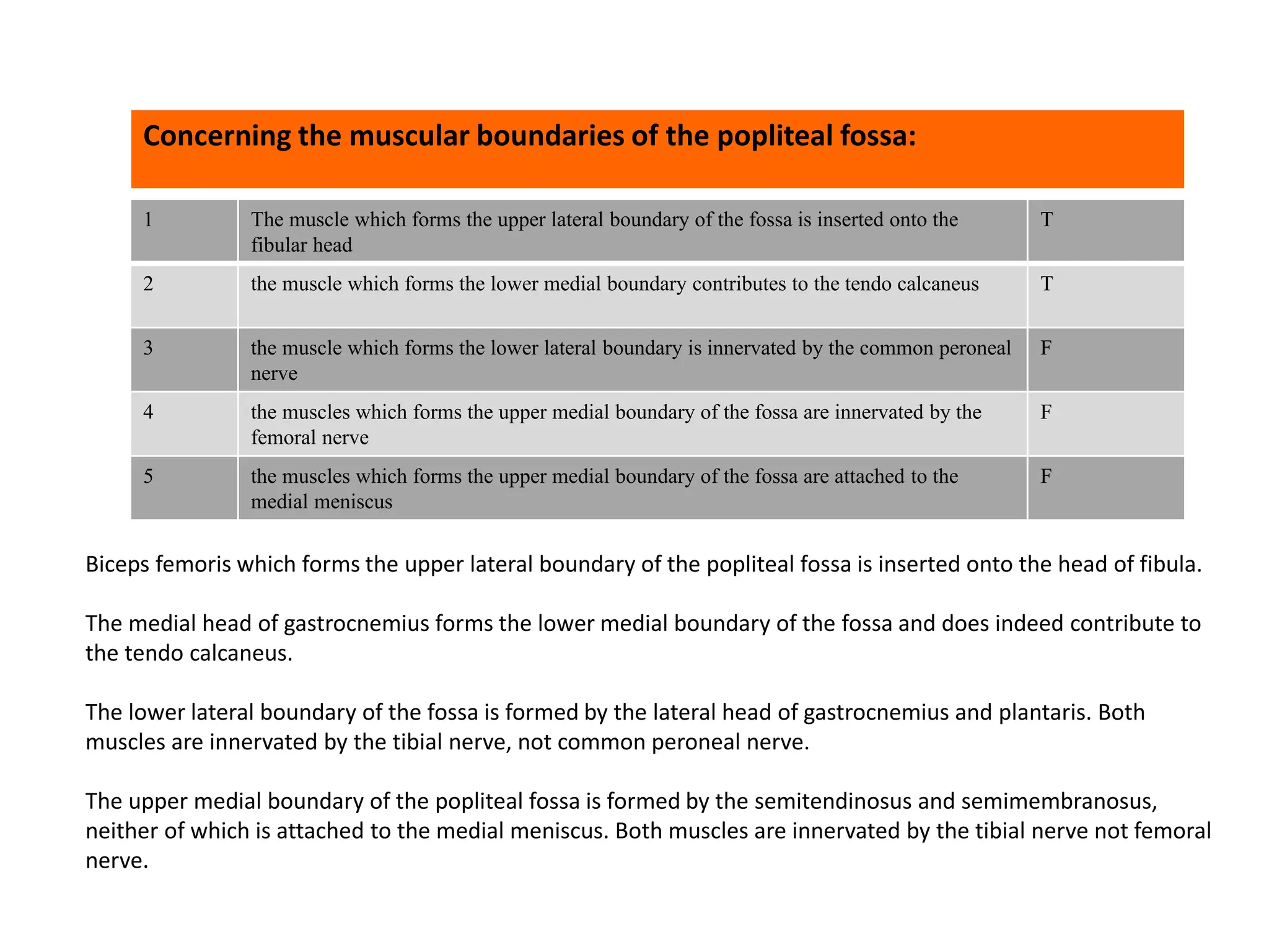 Questions: Popliteal Fossa | PPTX
