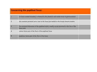 Questions: Popliteal Fossa | PPTX