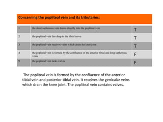 Questions: Popliteal Fossa | PPTX