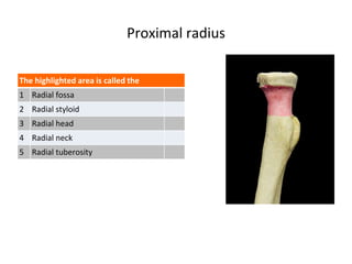 Exam Questions Radius | PPT
