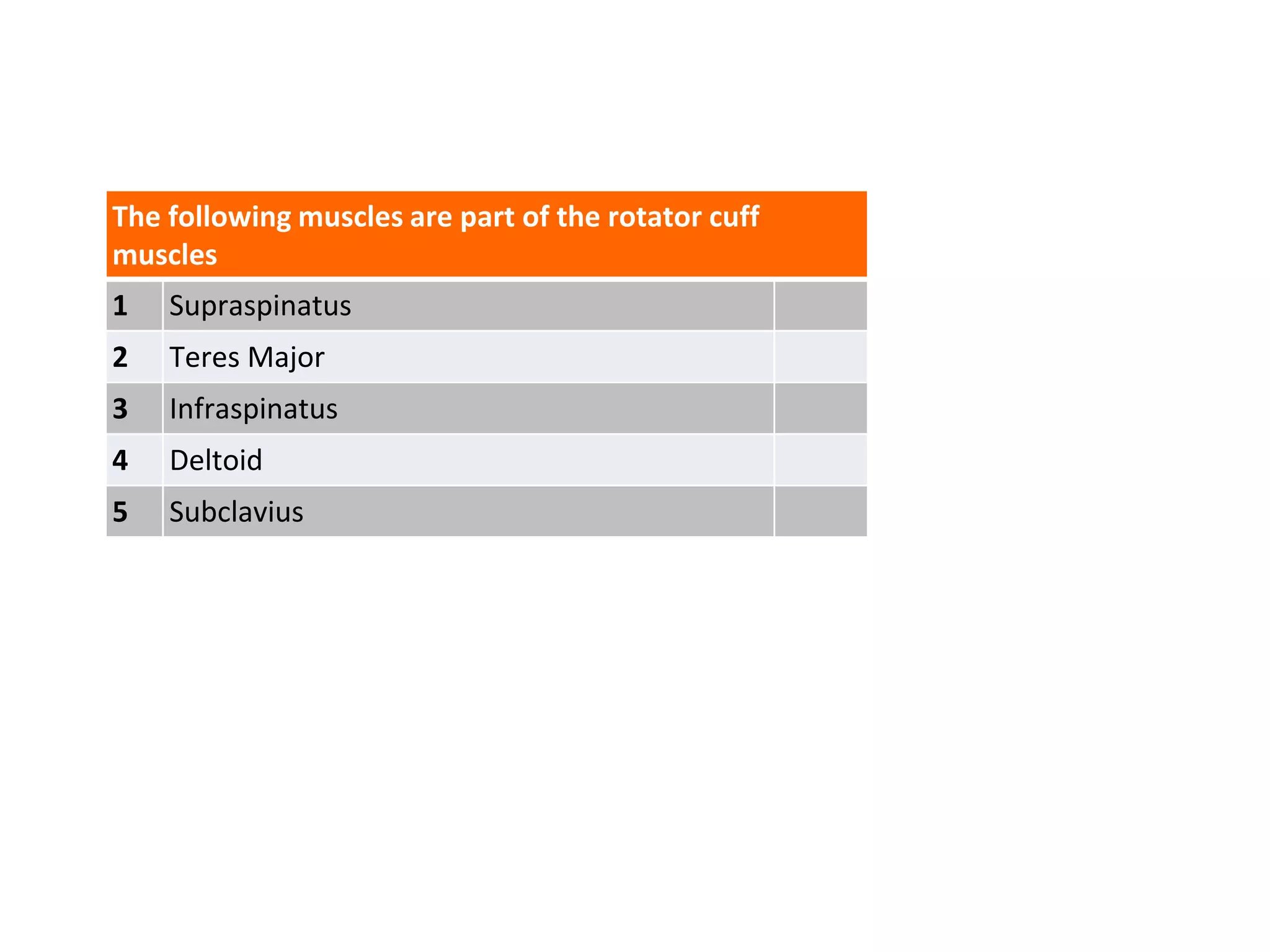 Exam Questions Rotator Cuff | PPTX