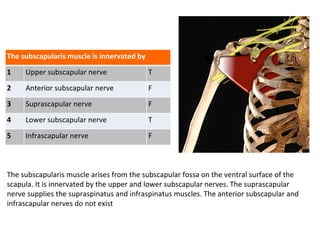 Exam Questions Rotator Cuff | PPTX