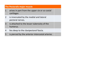 Exam Questions Shoulder Region - Anterior | PPT