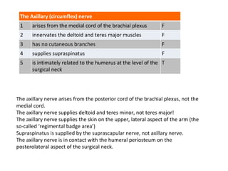 Exam Questions Shoulder Region - Anterior | PPTX