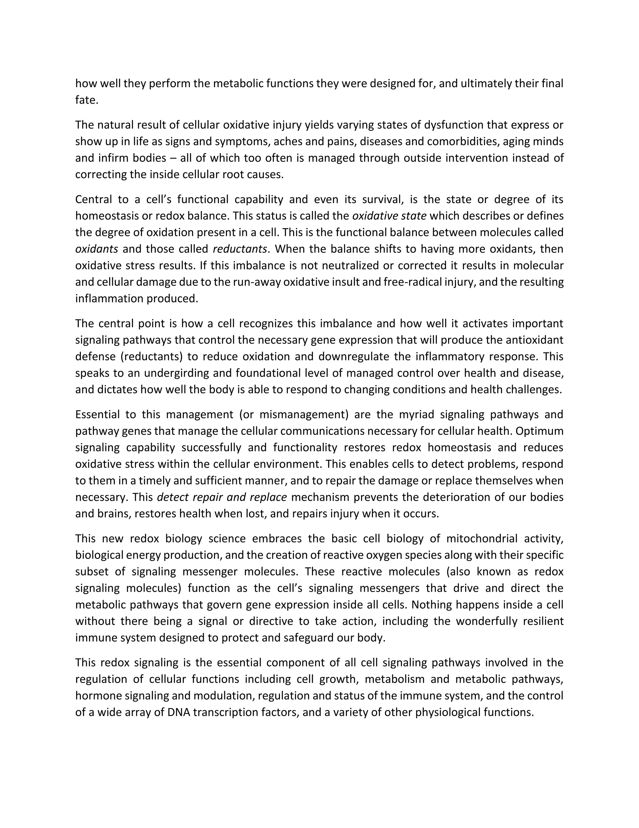 Redox Matters summary.pdf