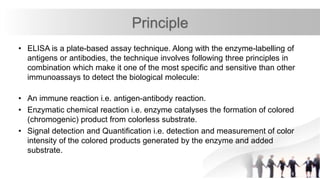 QBC & ELISA Test | PPTX