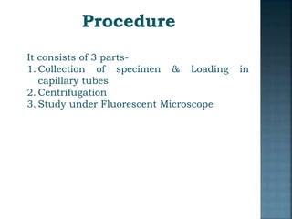 Qbc test | PPTX | Infectious Diseases | Diseases and Conditions