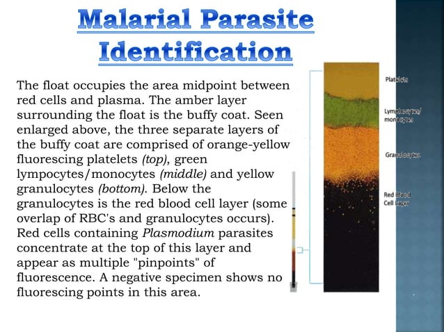 Qbc test | PPTX | Infectious Diseases | Diseases and Conditions